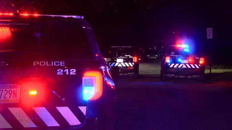 Police investigating Harrisburg shooting