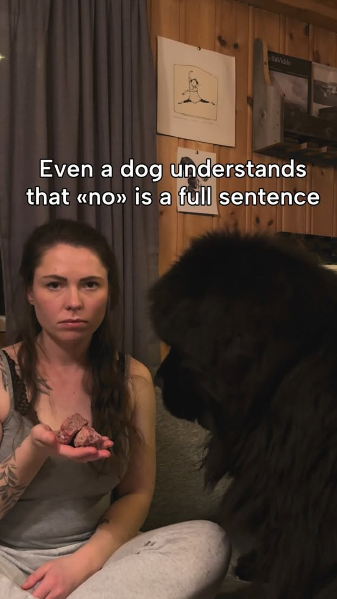 Even this dog understands boundaries better than most