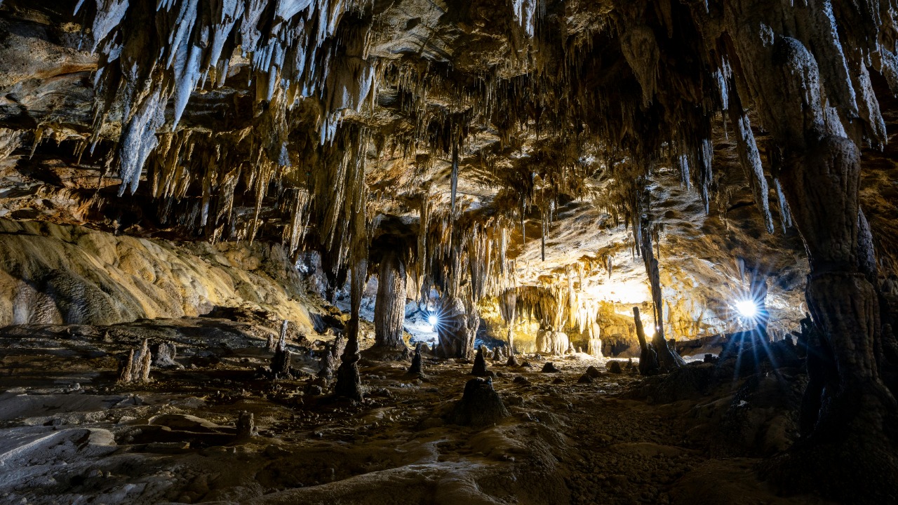 Scientists opened a sealed French cave untouched for 20,000 years and ...