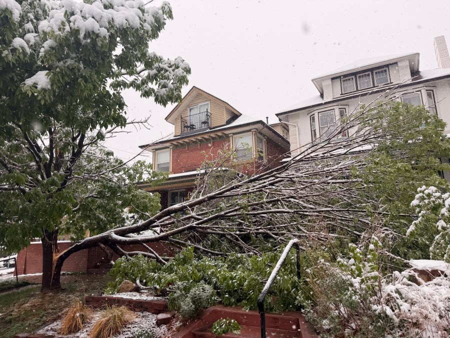 Neighbors hear 'loud crash boom' as trees snap across the Front Range