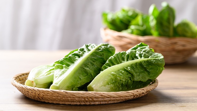 10 crunchy dippers to scoop your tuna salad