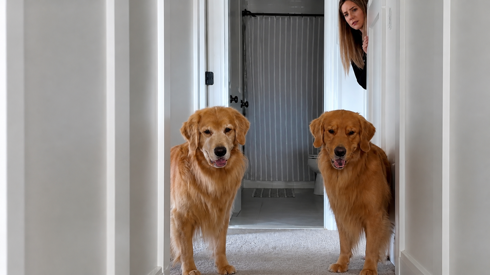 Golden retrievers need full supervision