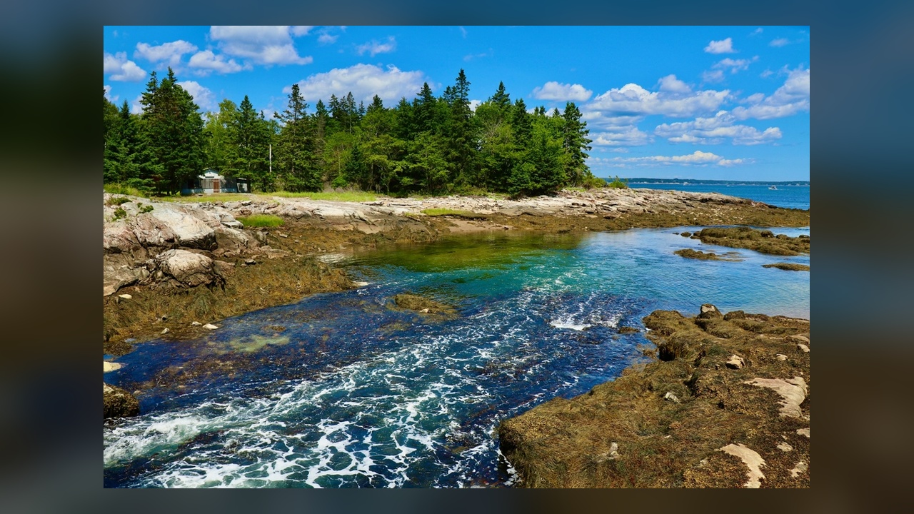 Maine’s oldest saltwater park has dunes, whales, and a lighthouse and ...