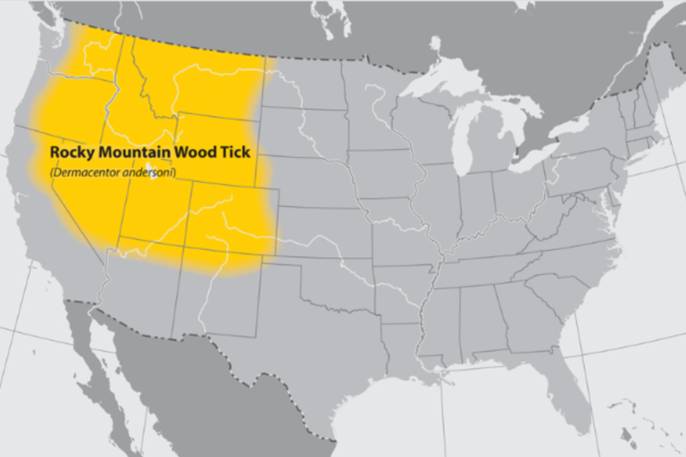 Map shows where ticks are spreading across US as bites spark CDC warning