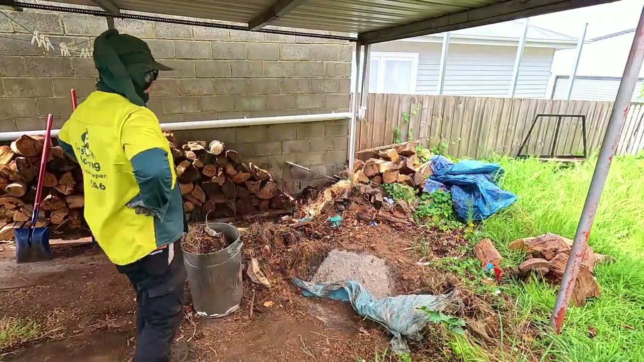 I transformed a neglected yard in 11.5 hours! 🌿