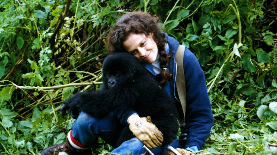 20 real-life stories that became unforgettable movies