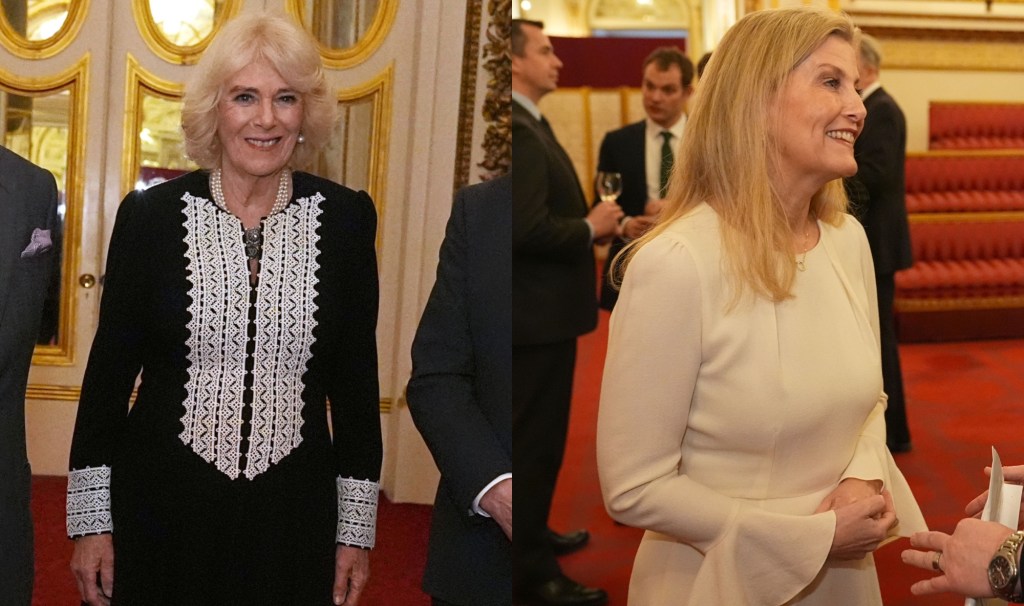 Queen Camilla's Wears Serpent Necklace at King's Trust Celebration