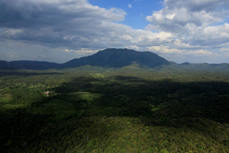 Mining halted at Baowu-led Simandou site over pay dispute, sources say