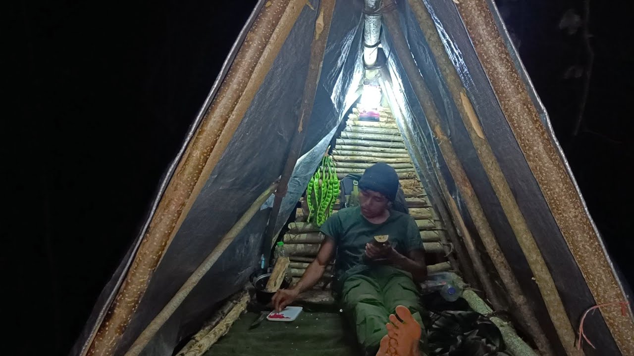Saya membangun shelter di pohon