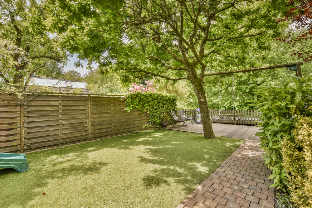 15 things a thief looks for in your messy backyard