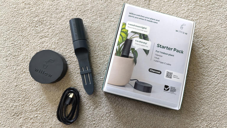 These smart sensors are 'like a Fitbit for houseplants' — can they make ...