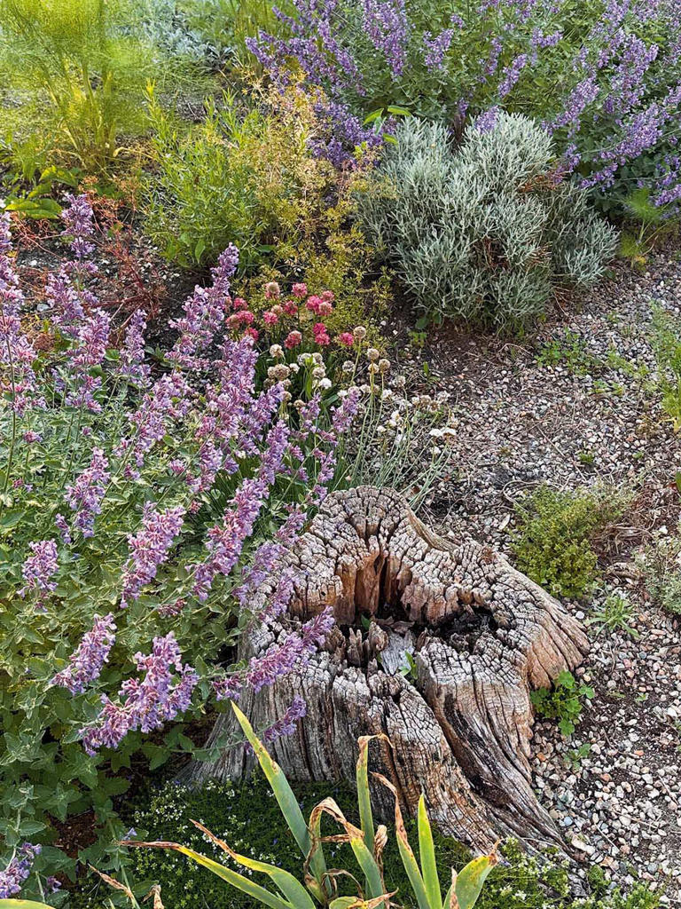 This beginner-friendly garden style will make your yard look like a ...