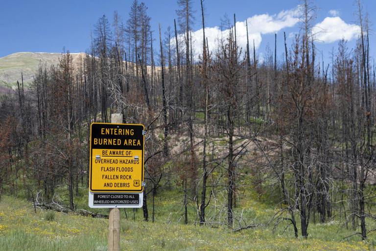 Fire is transforming the US West’s public lands – research shows ...