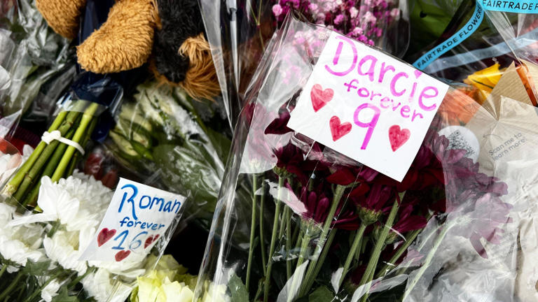 Driver sentenced after e-scooter crash kills siblings