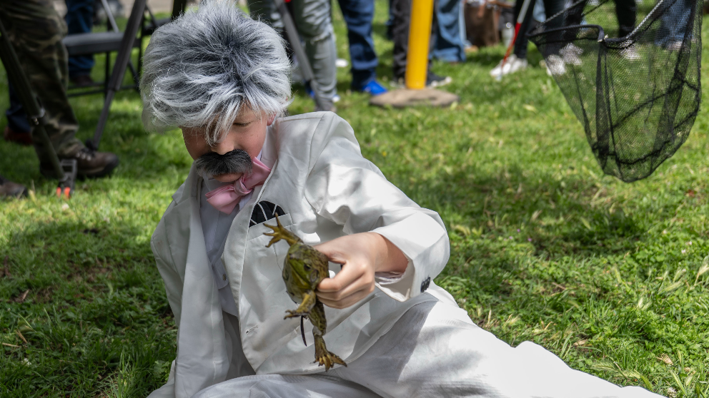 See Mark Twain's Calaveras jumping frog story come alive at state Capitol