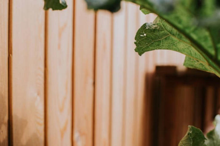 UK households with garden fences warned it's illegal amid £5,000 fines