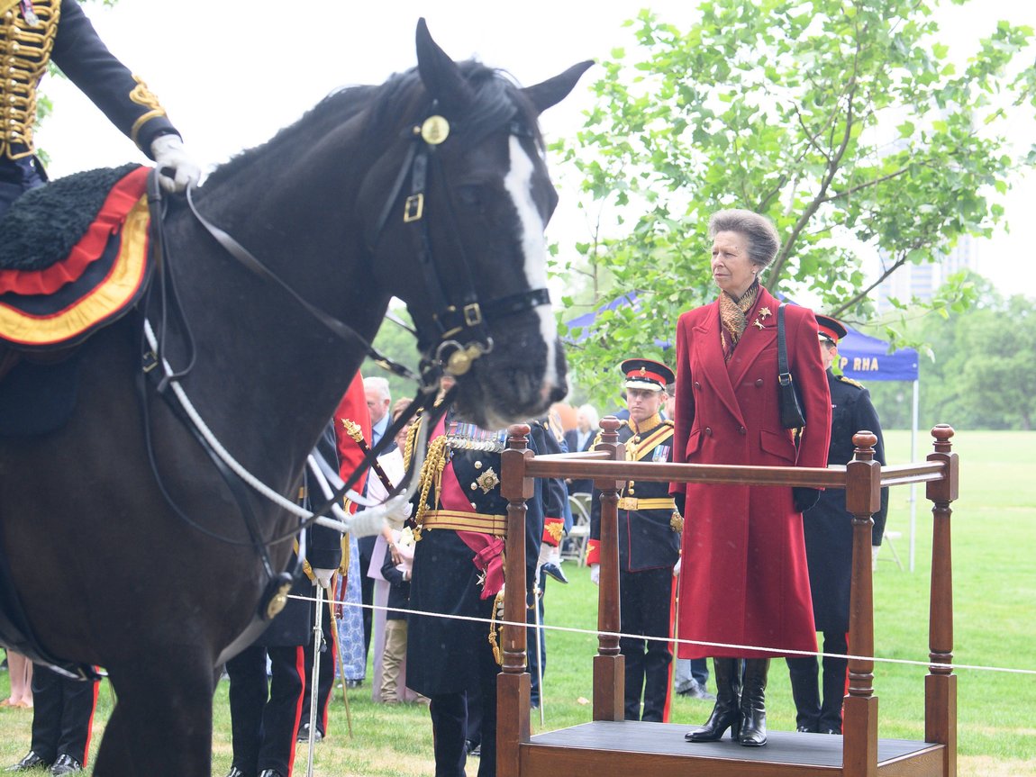 Princess Anne honors brother Charles on coronation day