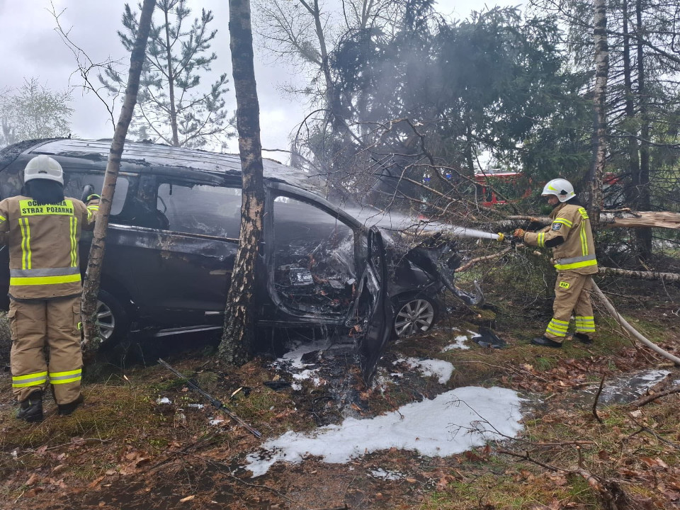 Tragedia była o krok. Piętnastolatek wjechał Chryslerem w drzewo w ...