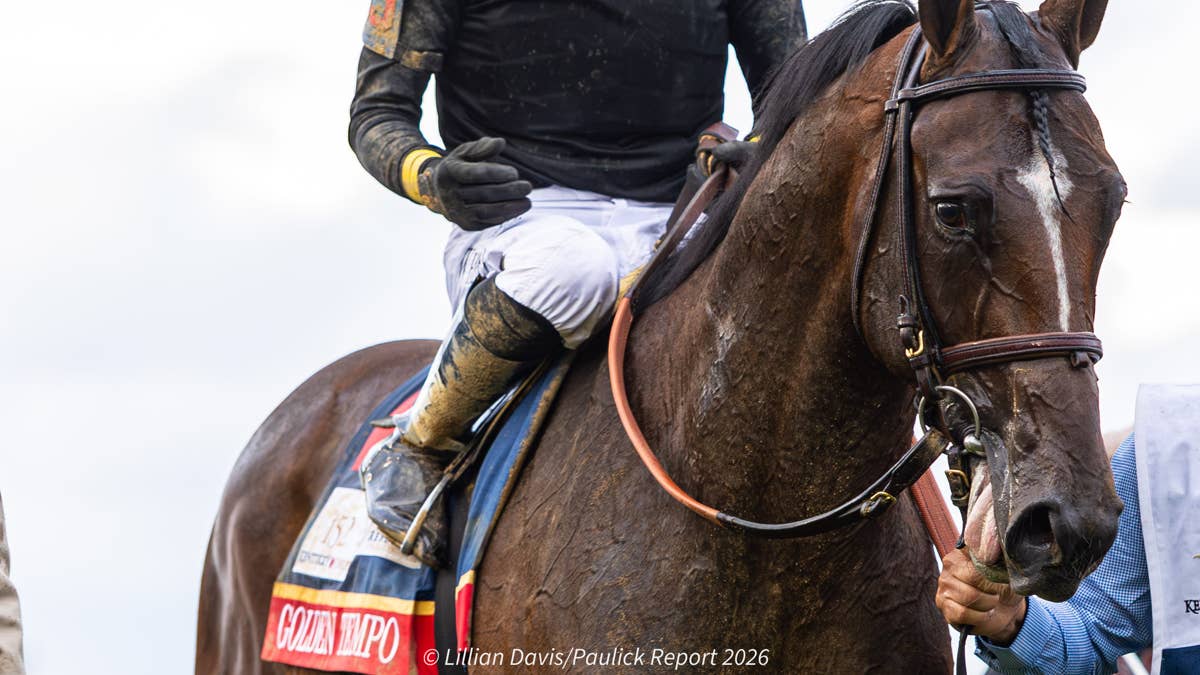 Bloodlines presented by Walmac Farm: The classic family of Kentucky ...
