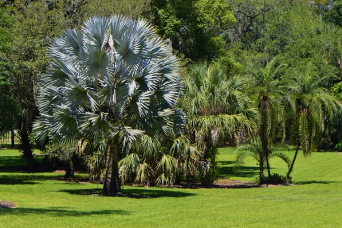 14 unusual things to do in Sarasota, Florida, that go beyond the beach