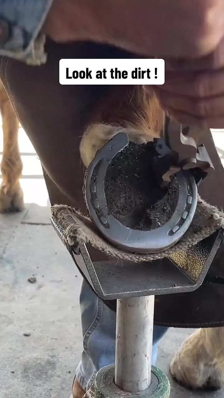 This horseshoe was insanely dirty!