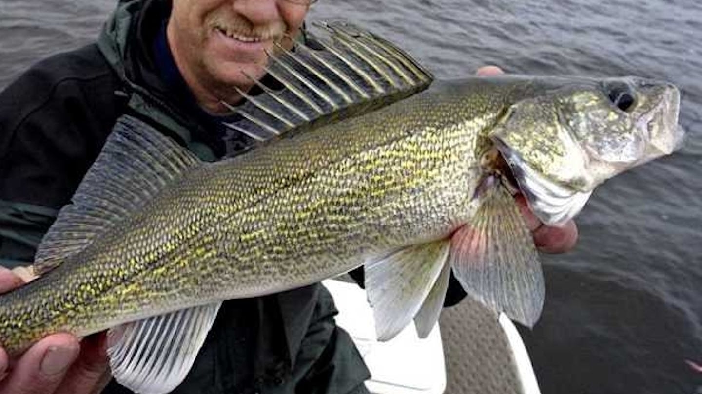 Where the walleye will (likely) be biting on the fishing opener