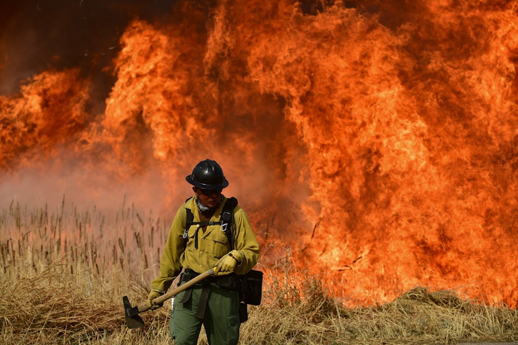 Fire is transforming the US West’s public lands – research shows ...