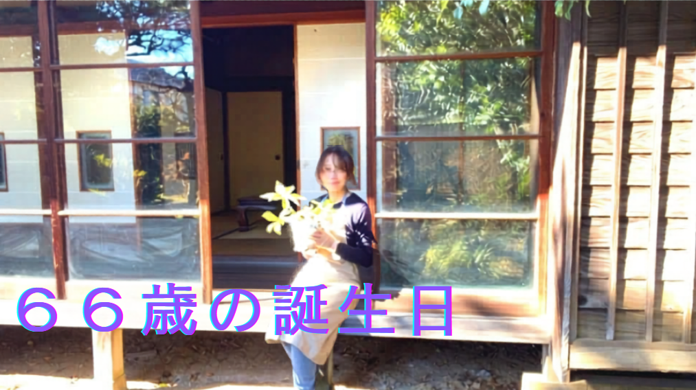 古い伝統的な日本家屋で楽しむ庭仕事