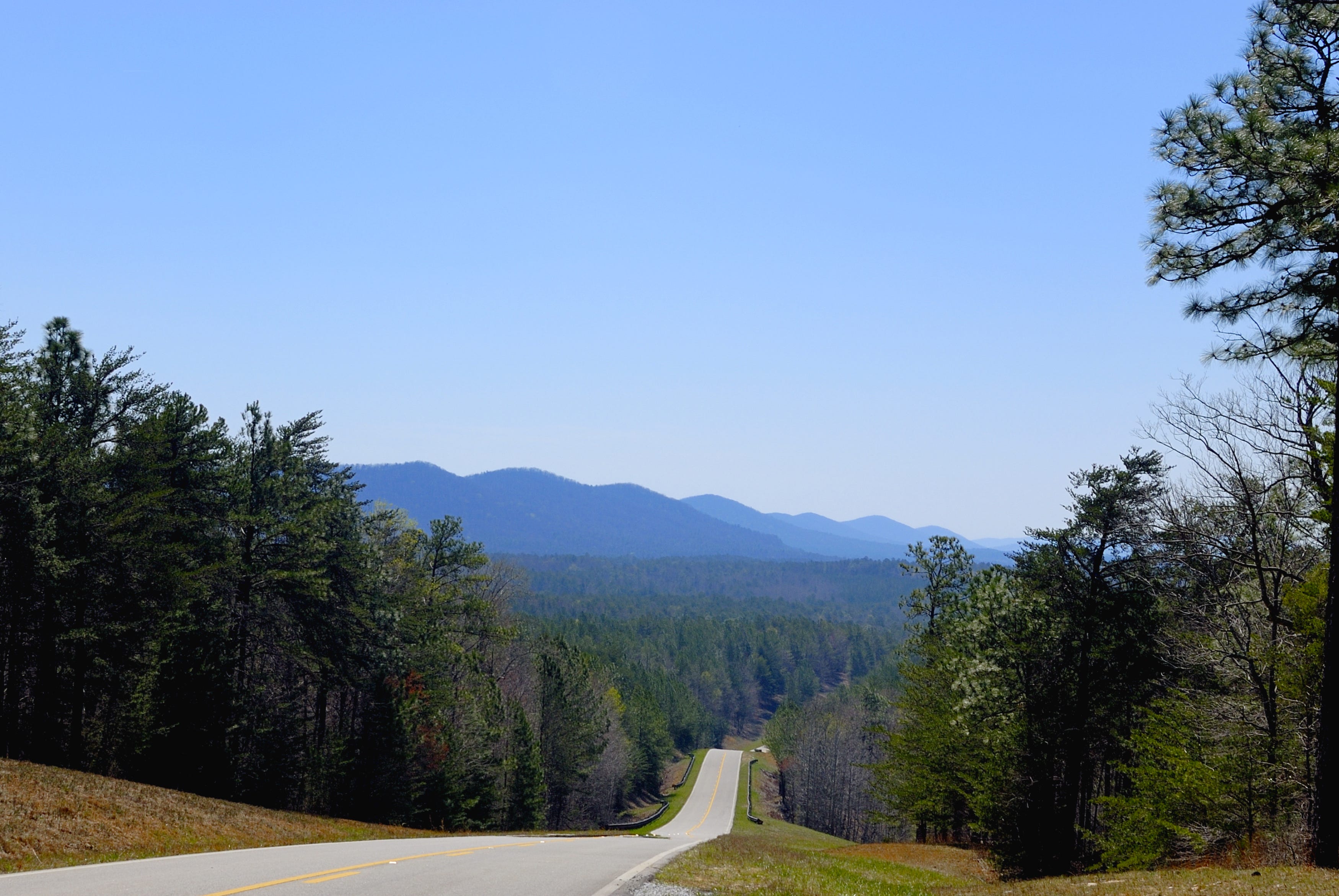 The most scenic road to drive in every state