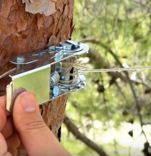 Expert tips for thriving in the great outdoors