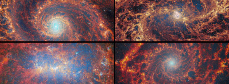 Webb and Hubble find massive star clusters emerge faster