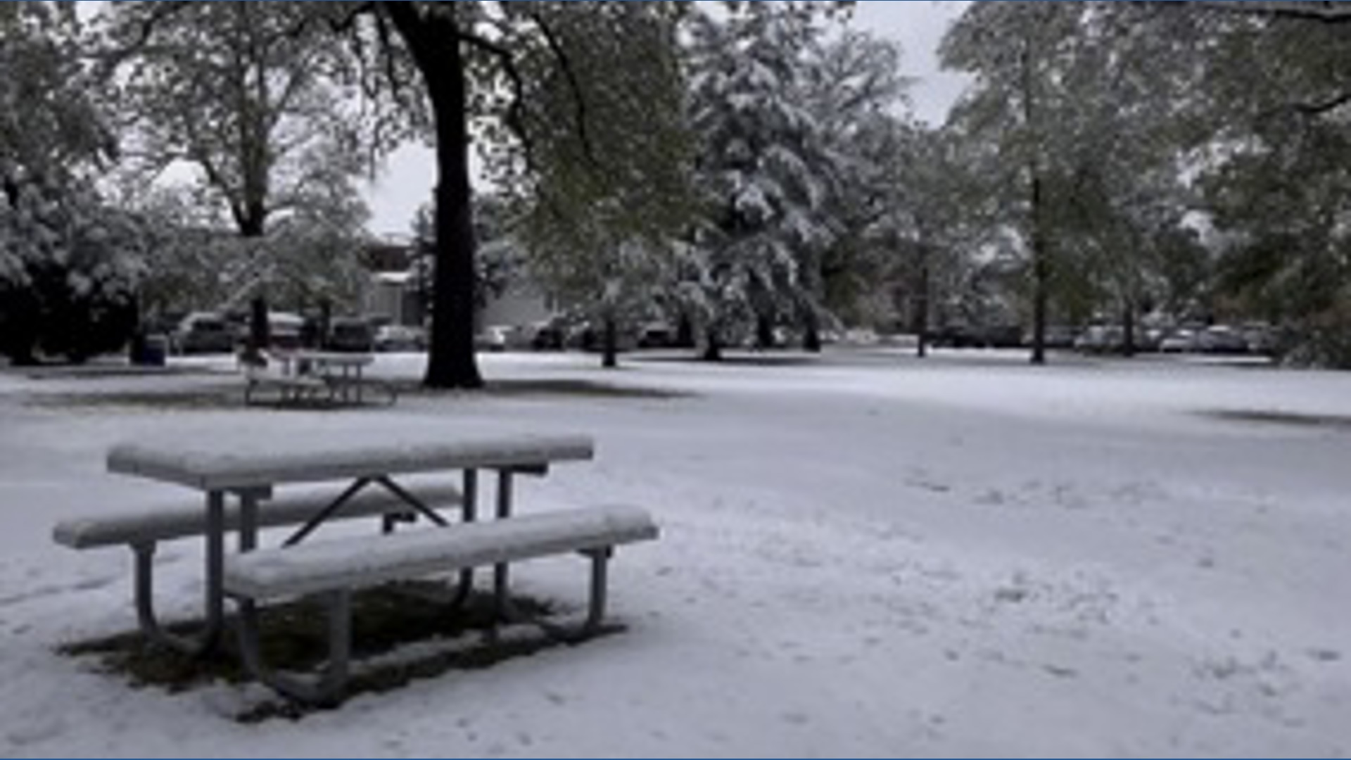 Fort Collins snow