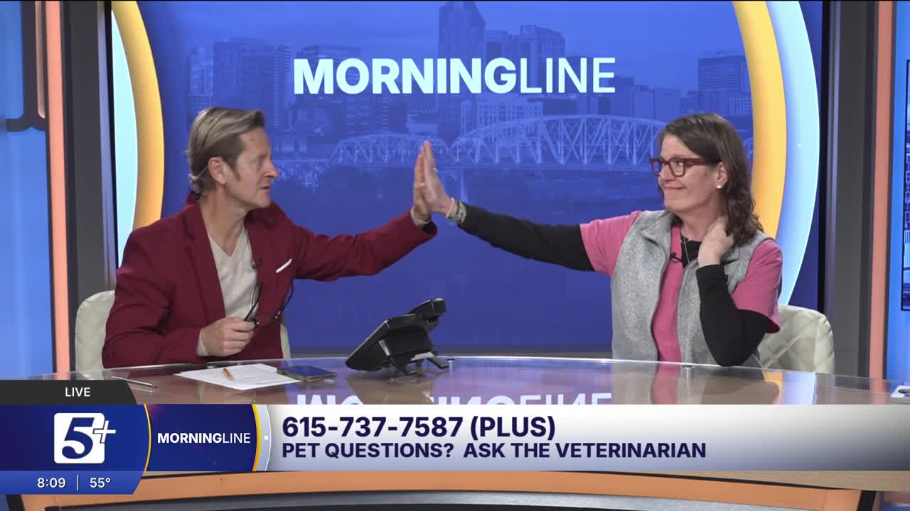 MorningLine: Why do small dogs tend to lose teeth? pt1