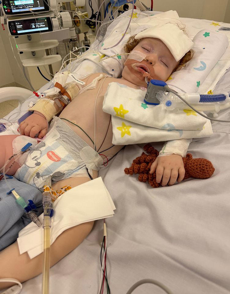 Toddler in induced coma after inhaling 'gold dust powder' while his mom ...