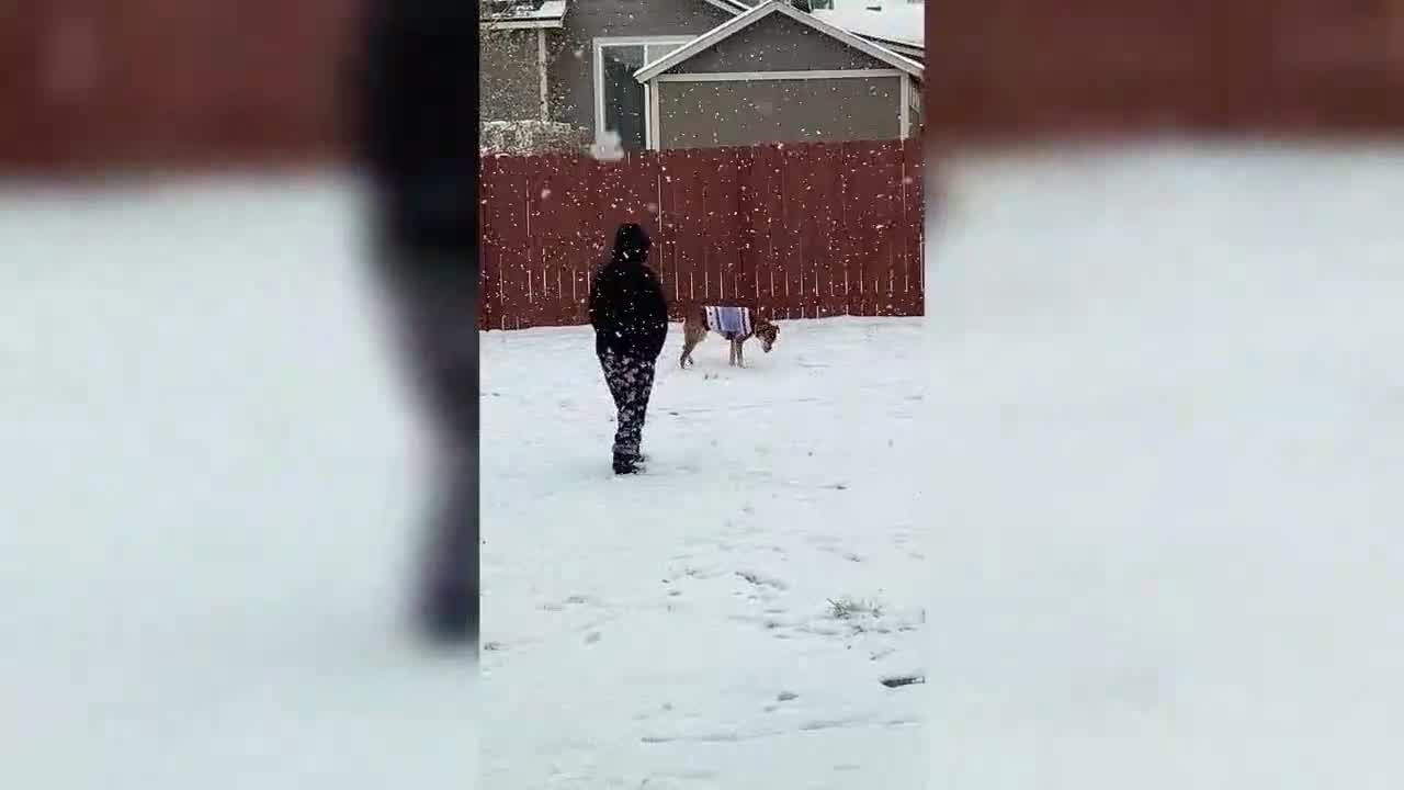 FOX21 News viewers capture spring snowstorm in Colorado