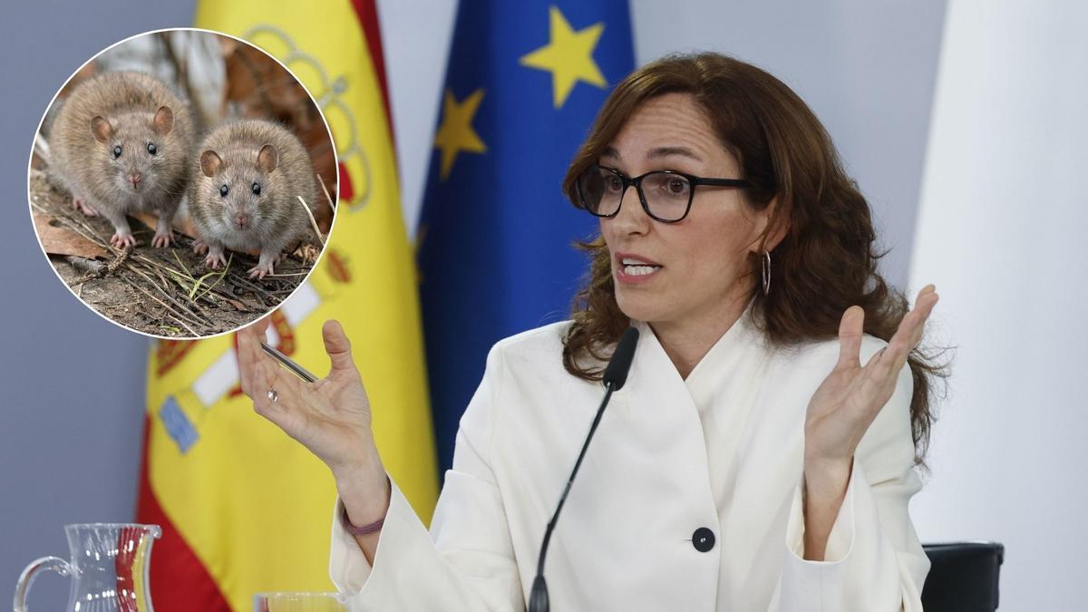 Mónica García, ministra de Sanidad: "Los españoles del crucero con ...