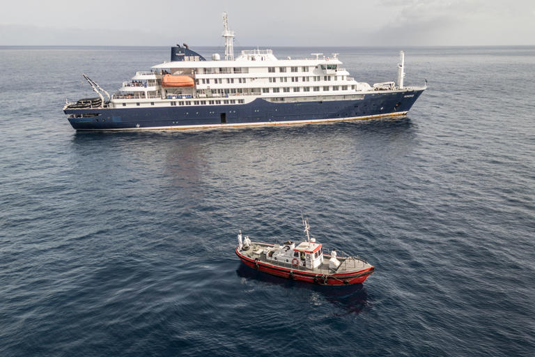 Do cruises carry rats, mice? Why onboard rodent sightings are rare