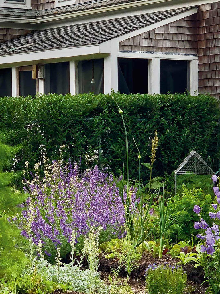 This beginner-friendly garden style will make your yard look like a ...