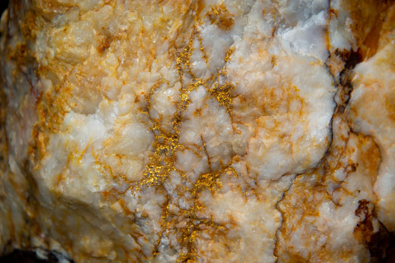 Gold miners rally amid earnings beats, rising bullion prices