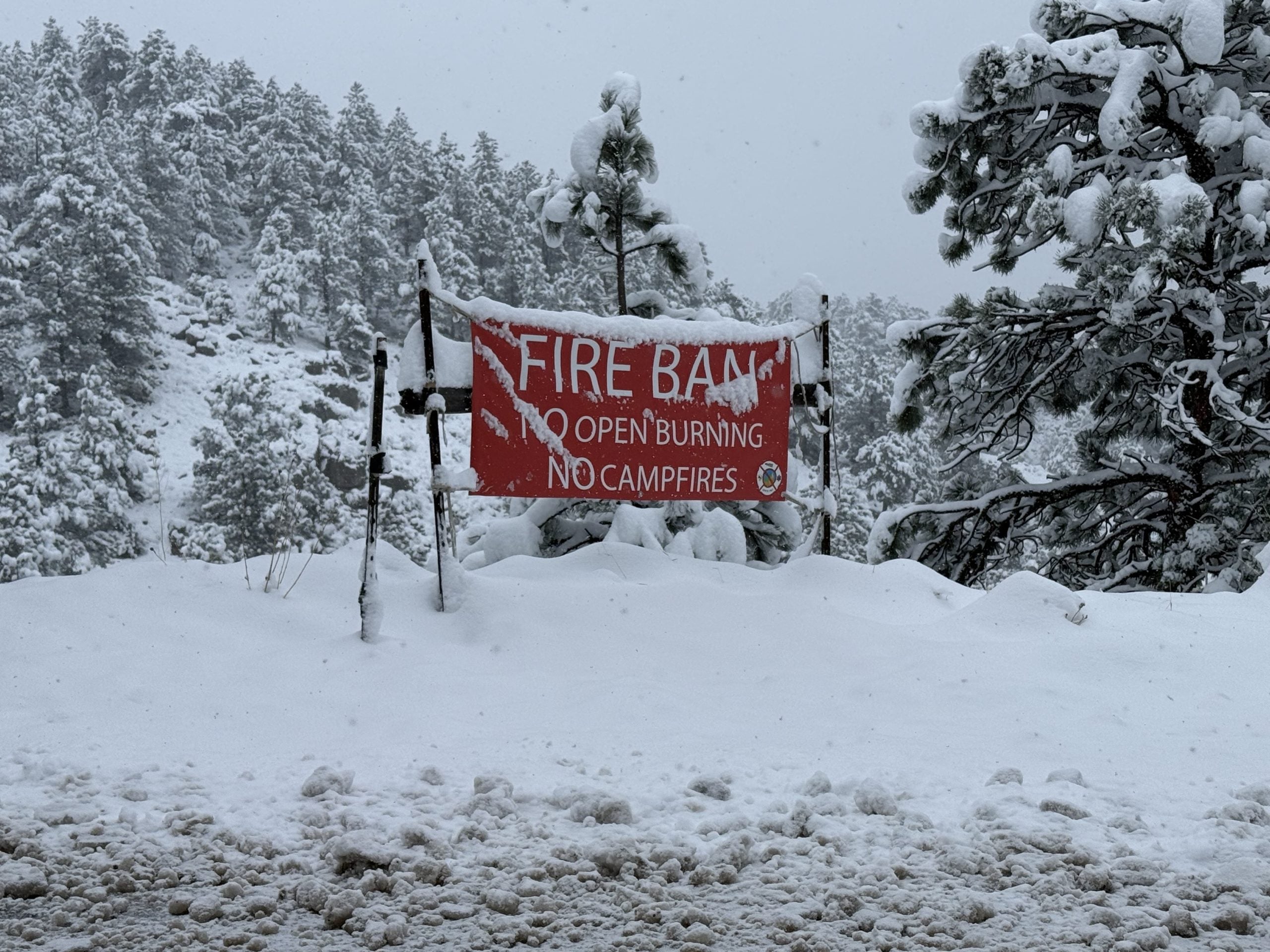 See it: Photos and videos showcase surprising May snowstorm in Colorado ...