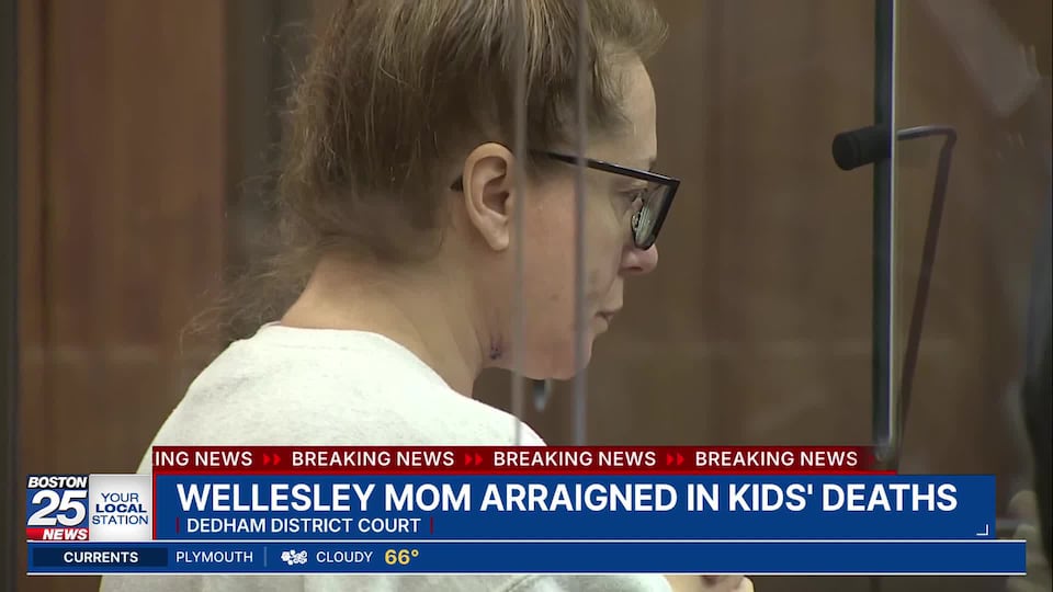 Wellesley mother accused of killing her two kids pleads not guilty ...