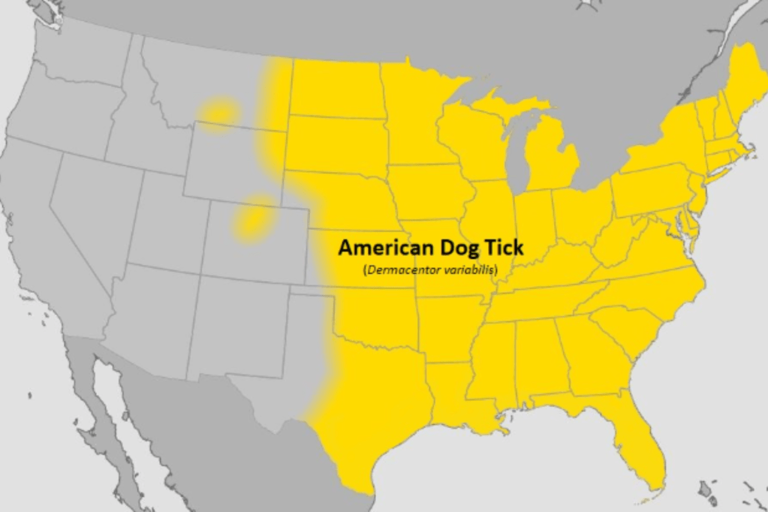 Map shows where ticks are spreading across US as bites spark CDC warning