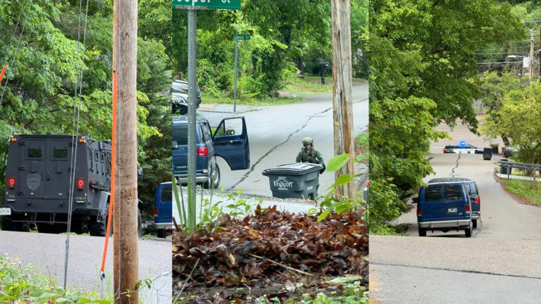 Heavily armed Kingsport police active in Kingsport, some residents ...