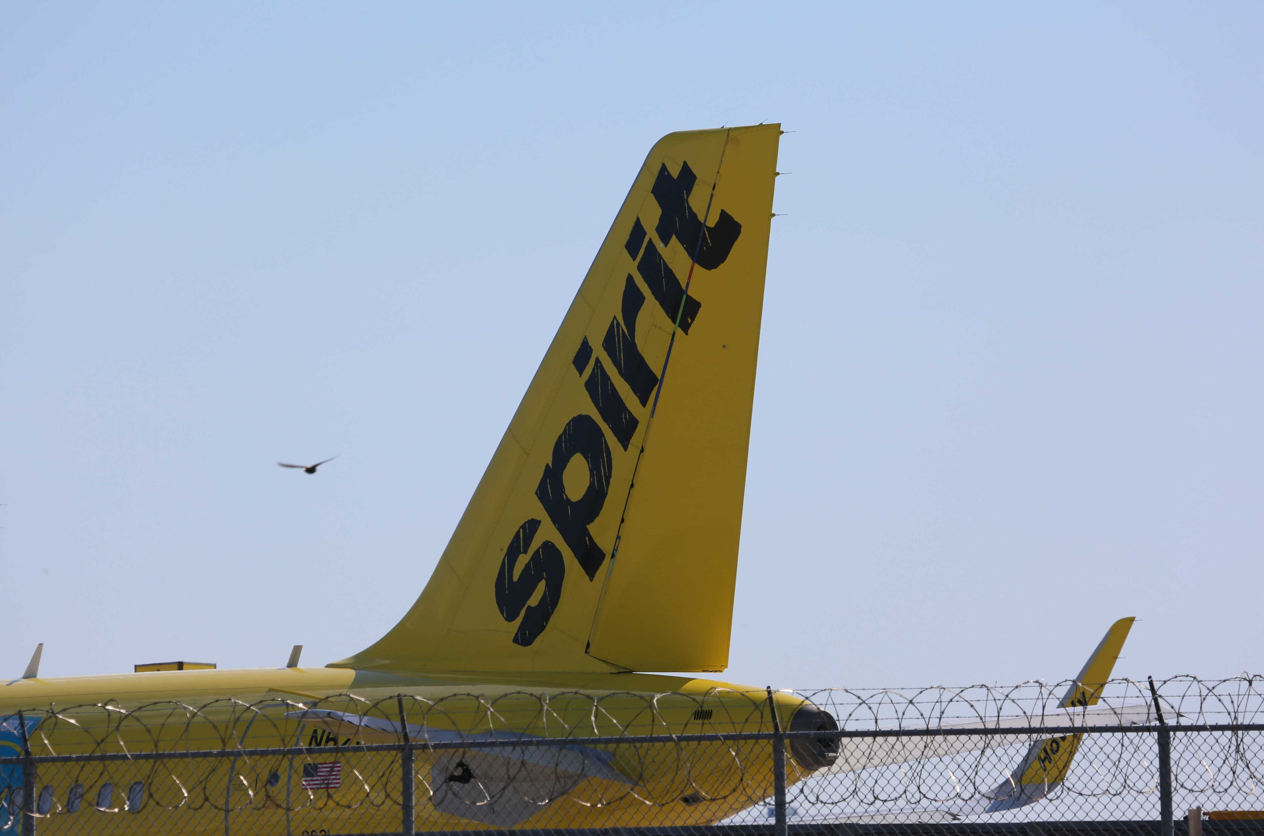 Did Democrats Elizabeth Warren, Pete Buttigieg doom the JetBlue, Spirit ...