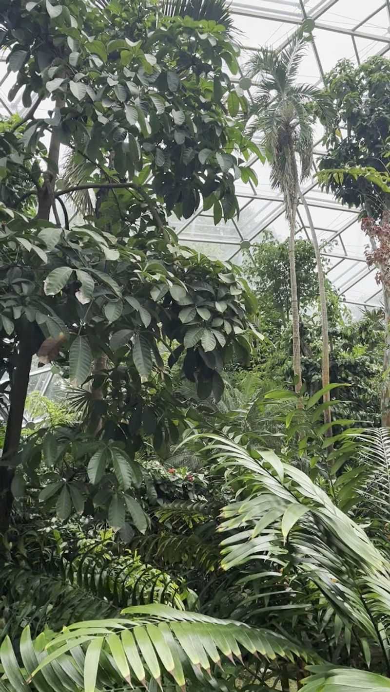 The Missouri Botanical Garden conservatory that feels like a secret ...