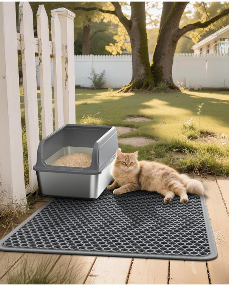Amazon’s best-selling cat litter mat is just $8 and it'll save your ...
