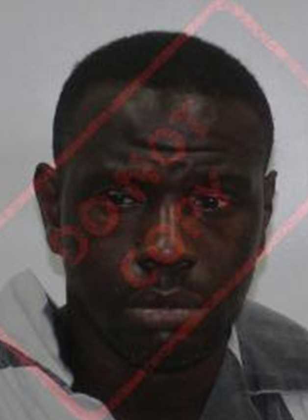 Carjacking, home invasion suspect who jumped from Causeway Bridge ...