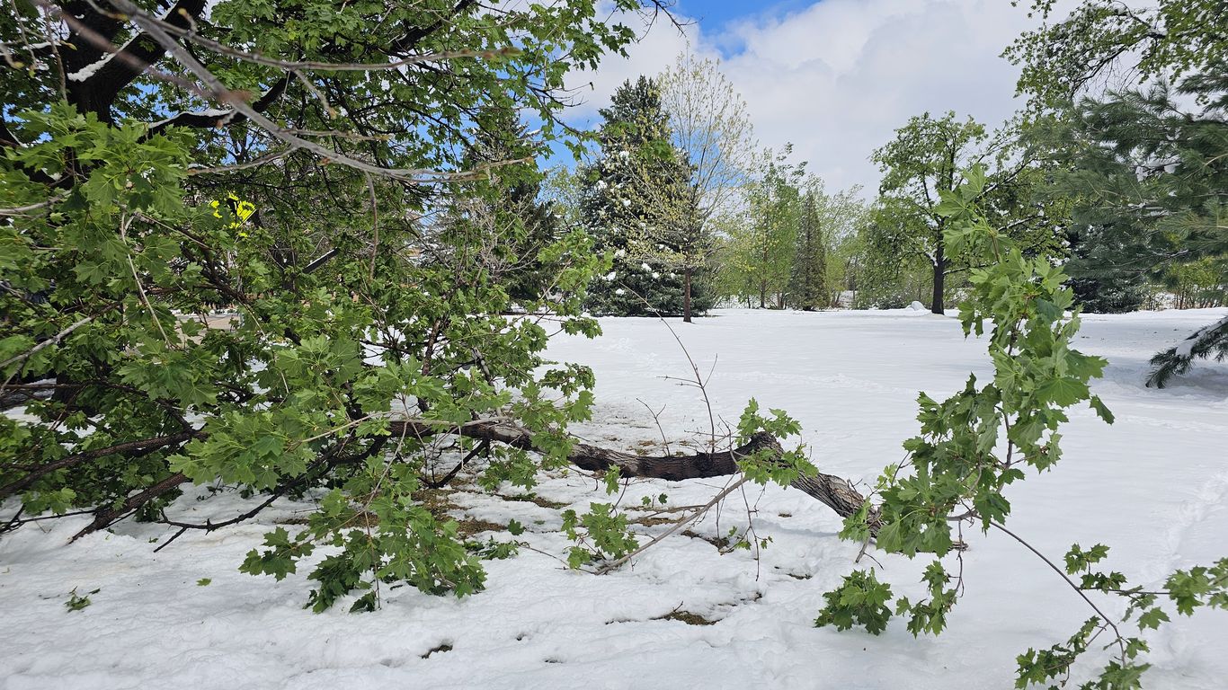 Boulder gets nearly a foot of rare May snow