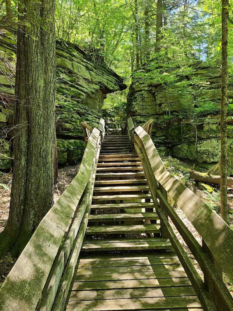The West Virginia Narnia trail that turns a simple family hike into a ...