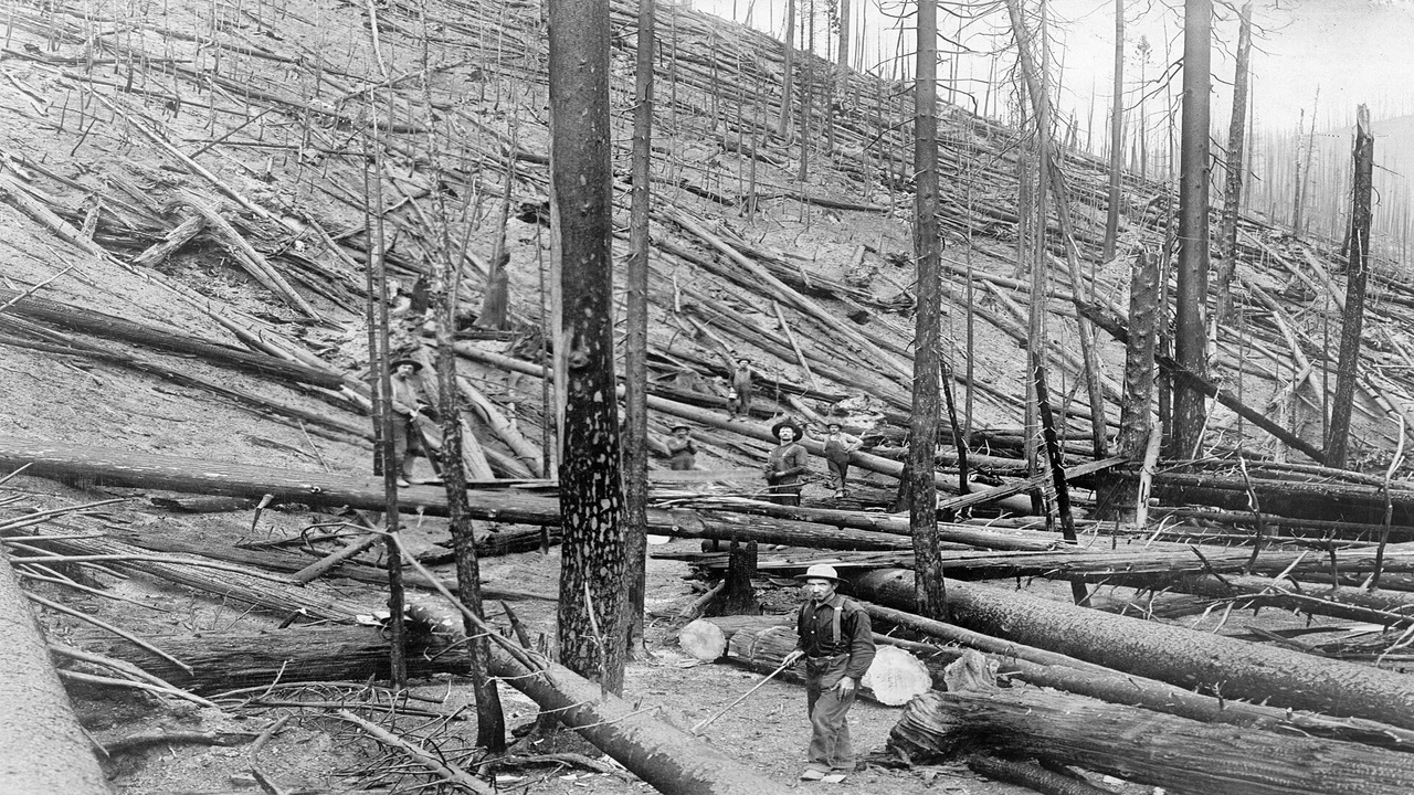 Northern Idaho has 2.5 million acres of old cedars, gem mines, and ...